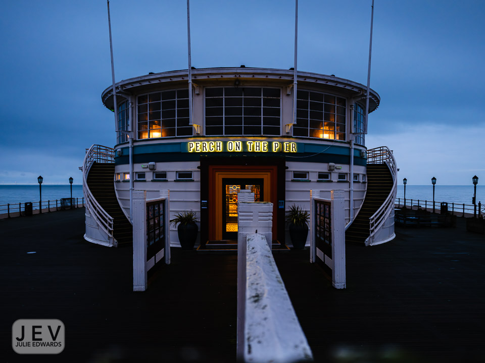 Early morning Starlings – Julie Edwards-X